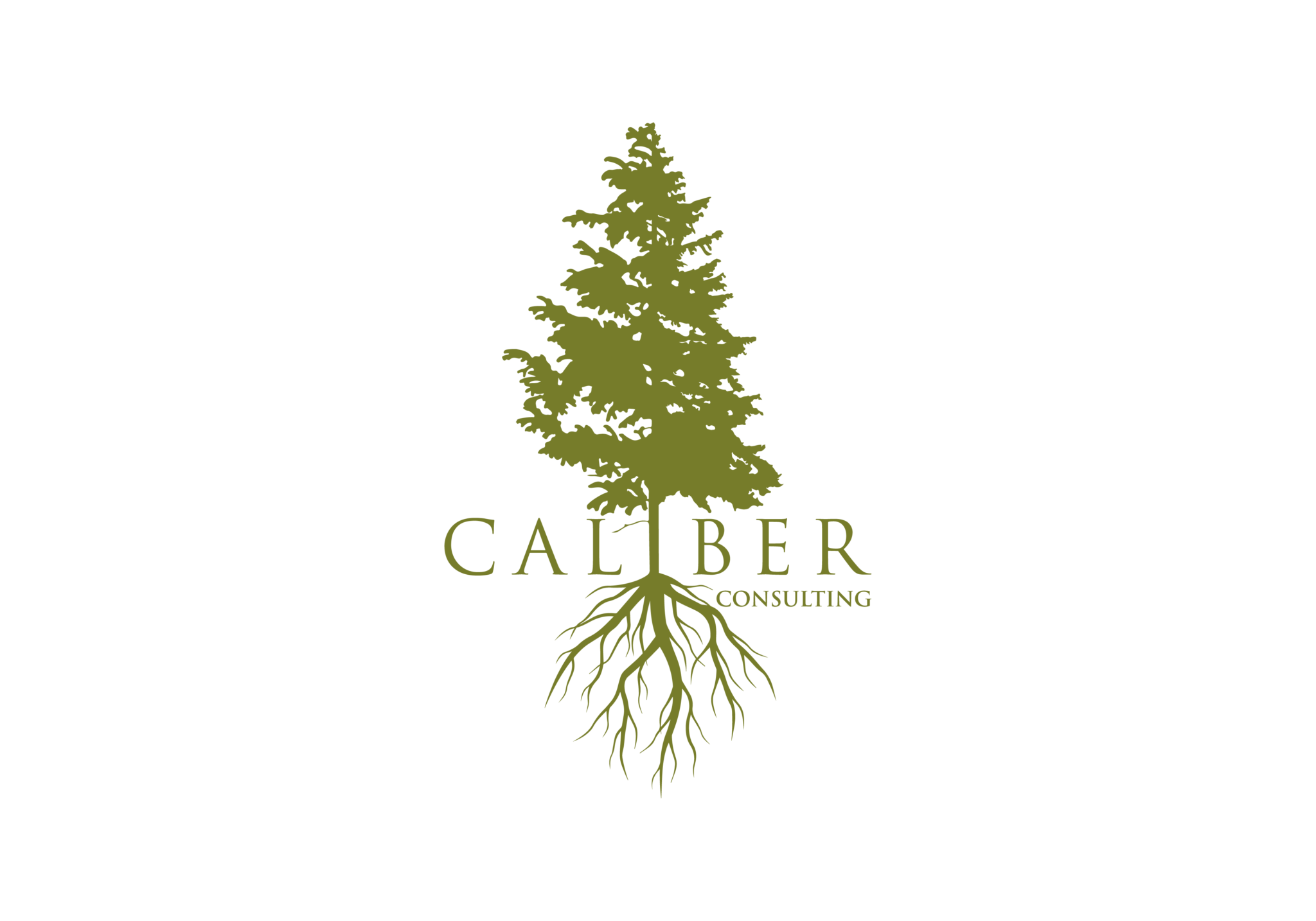 Caliber Consulting Co – Leader in Forestry Consulting