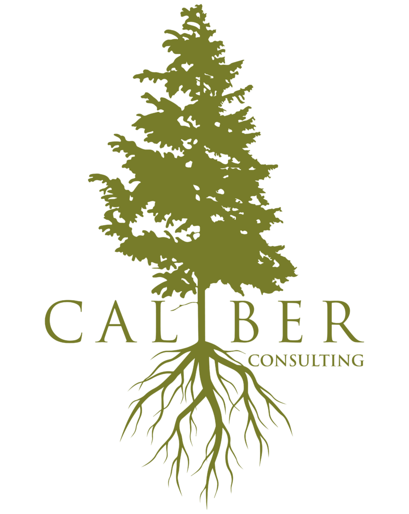 Home - Caliber Consulting Co